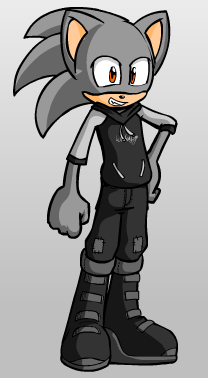 Storm the Hedgehog | Sonic's Adventure Wiki | Fandom
