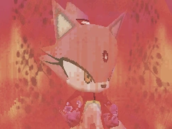 Burning Blaze | Sonic Wiki | Fandom