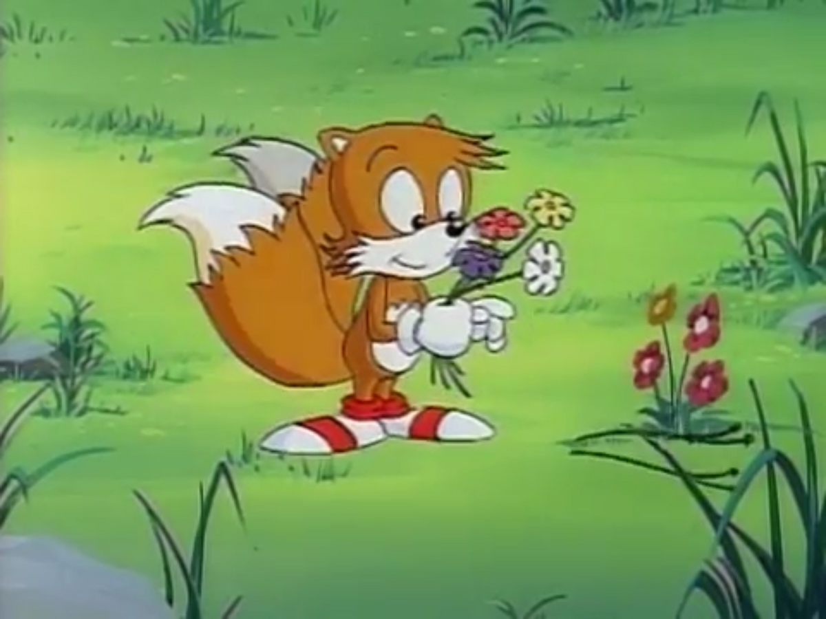Heads Or Tailsgallery Sonic Satam Wiki Fandom