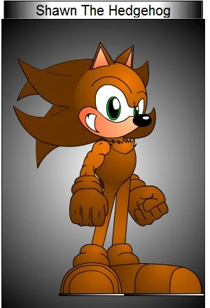 Shawn The Hedgehog | Sonicsociety Wiki | Fandom