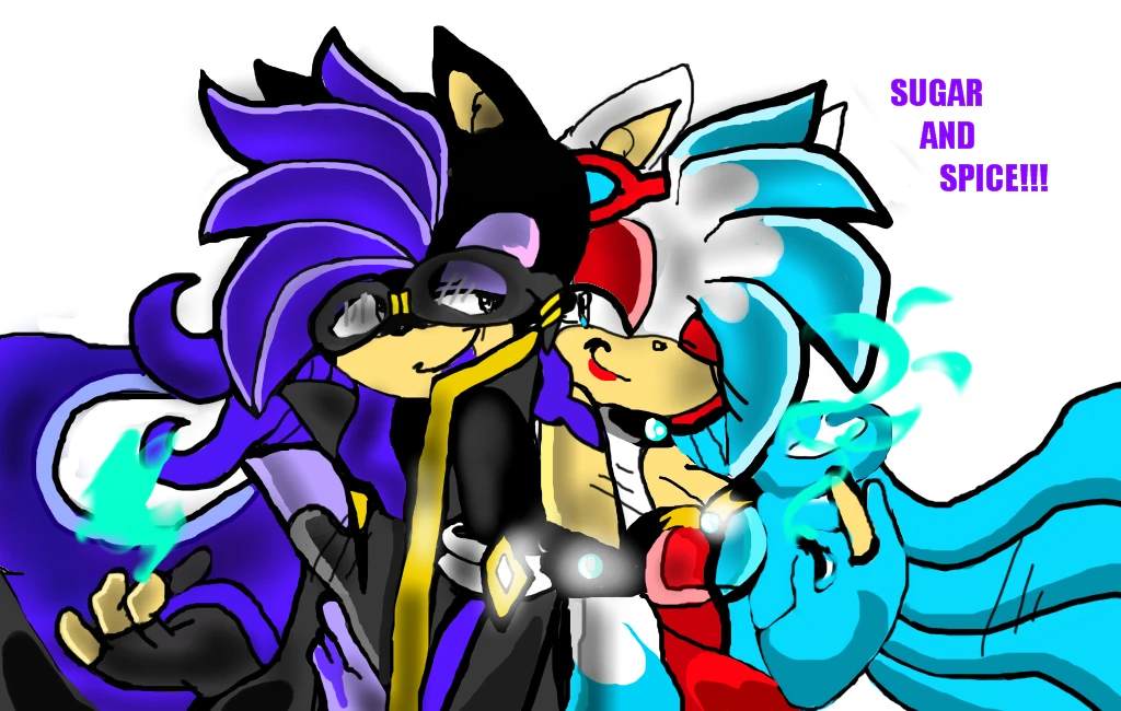 Sugar The Hedgehog And Shadow The Hedgehog