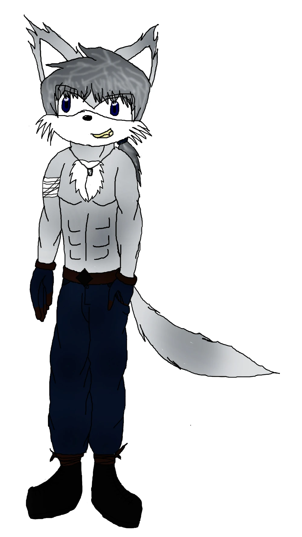 Raika the Wolf | Sonicsociety Wiki | Fandom