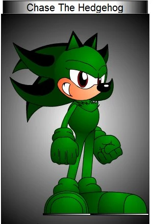 Chase The Hedgehog | Sonicsociety Wiki | Fandom