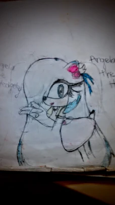 Angela The Hedgehog | Sonicsociety Wiki | Fandom