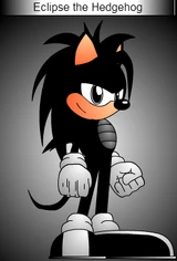 Eclipse the Hedgehog | Sonicsociety Wiki | Fandom