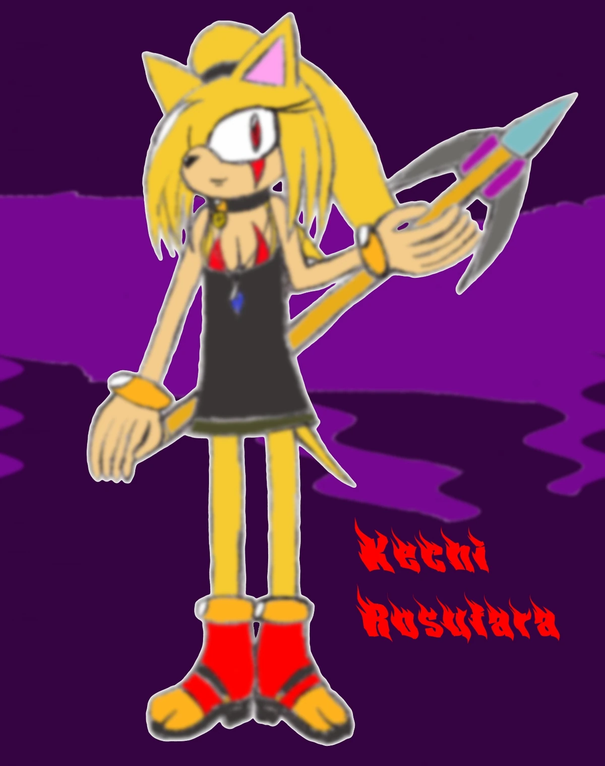 Kechi The Hedgehog | Sonicsociety Wiki | Fandom