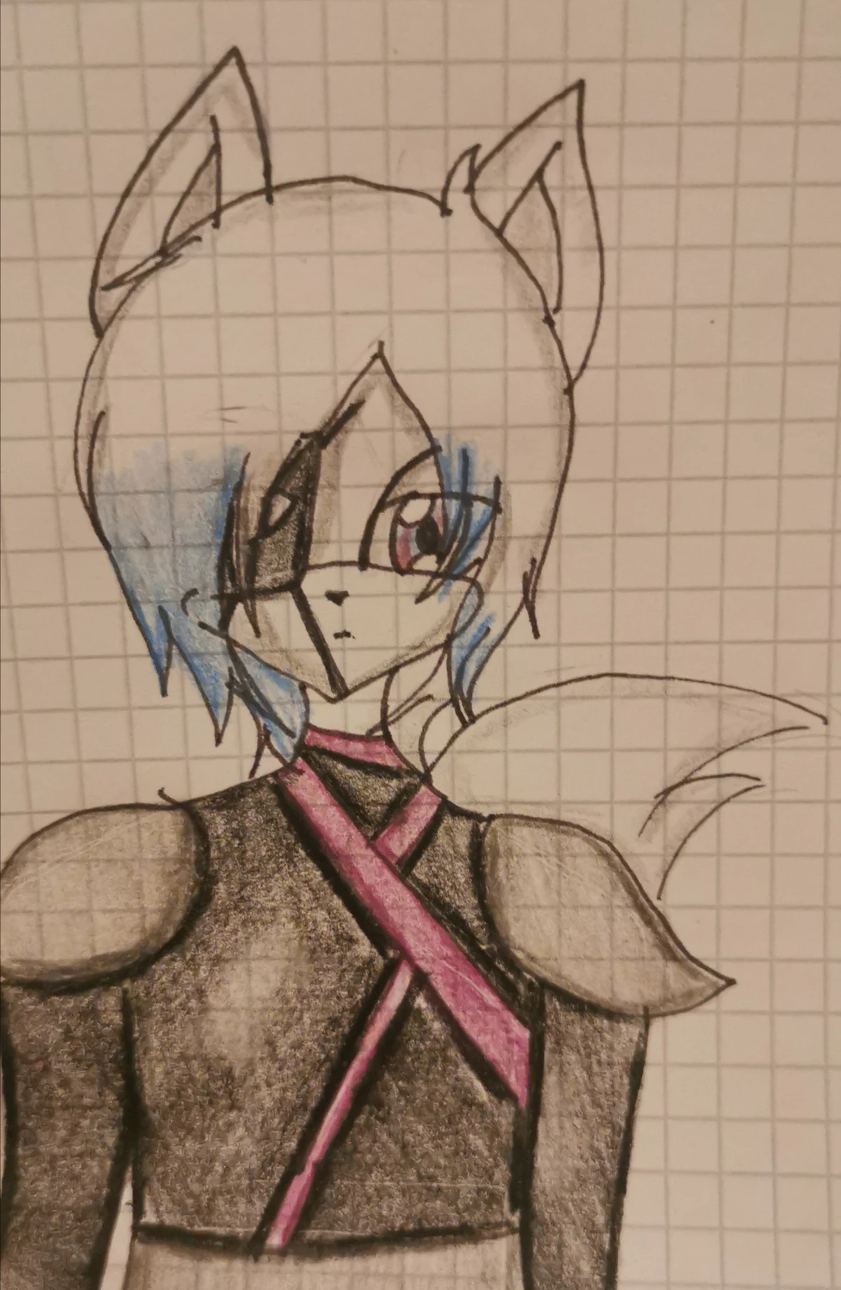 Cevier the Cat | Sonicstory Wiki | Fandom