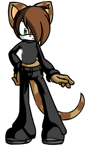 Grace the Raccoon | Sonicstory Wiki | Fandom