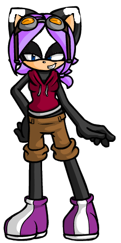 Sol the Badger | Sonicstory Wiki | Fandom