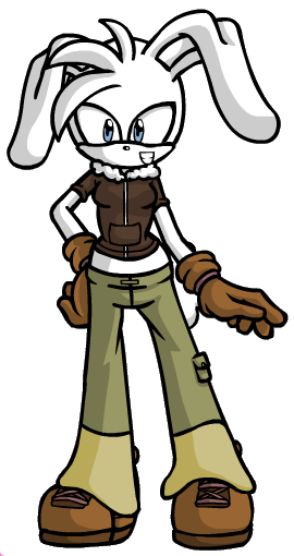 Snow the Hare | Sonicstory Wiki | Fandom
