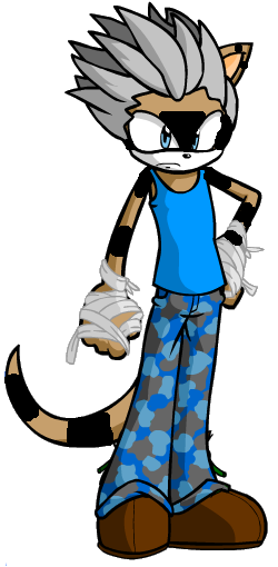 Timmy the Raccoon | Sonicstory Wiki | Fandom