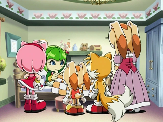 Vanilla la Lapine (Sonic X)/Galerie | Wiki Sonic The Hedgehog | Fandom