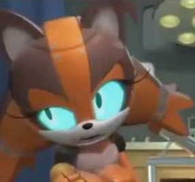 Cyborg Sticks | Wiki Sonic The Hedgehog | Fandom