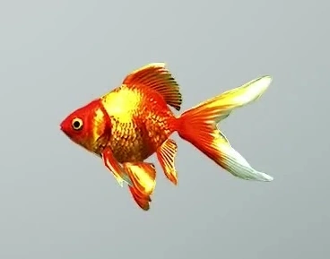 Poisson rouge | Wiki Sonic The Hedgehog | Fandom