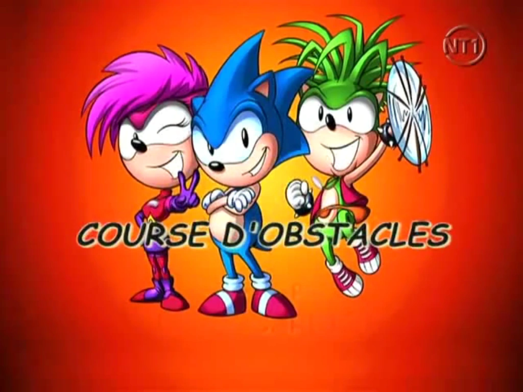 Course d'obstacles | Wiki Sonic The Hedgehog | Fandom