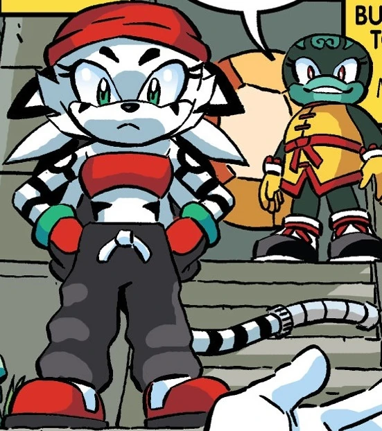 Jian la Tigresse | Wiki Sonic The Hedgehog | Fandom