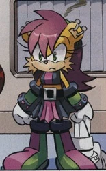 Mina Mongoose | Sonic Wiki | Fandom