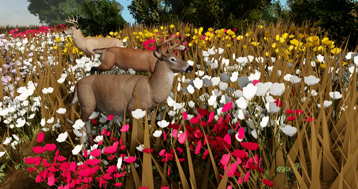 White-Tailed Deer | Sonora Roblox Wiki | Fandom