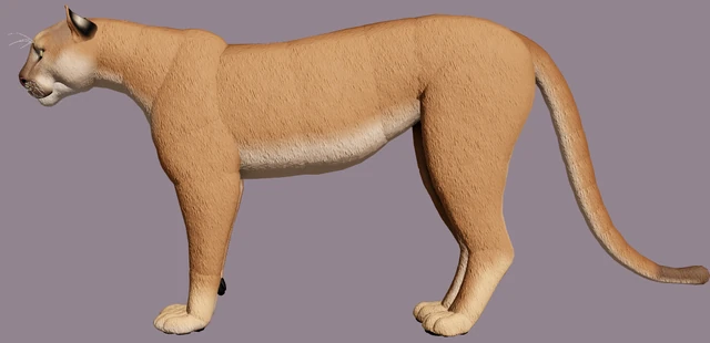 Puma | Sonora Roblox Wiki | Fandom