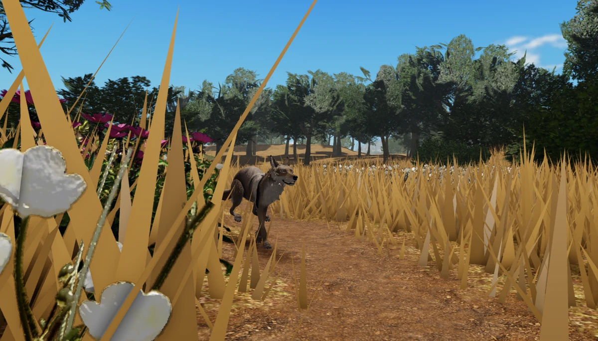 Coyote | Sonora Roblox Wiki | Fandom