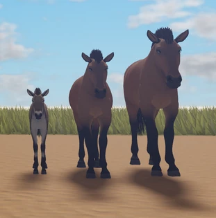 Western Horse | Sonora Roblox Wiki | Fandom