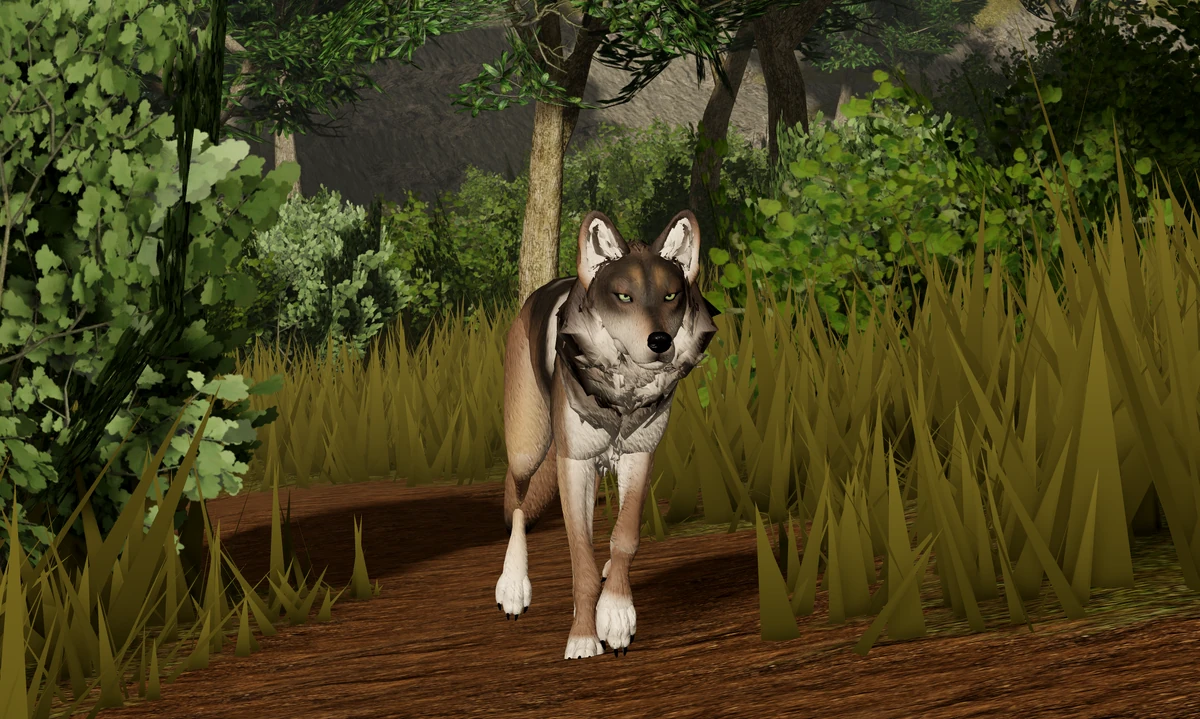 Mexican Gray Wolf | Sonora Roblox Wiki | Fandom