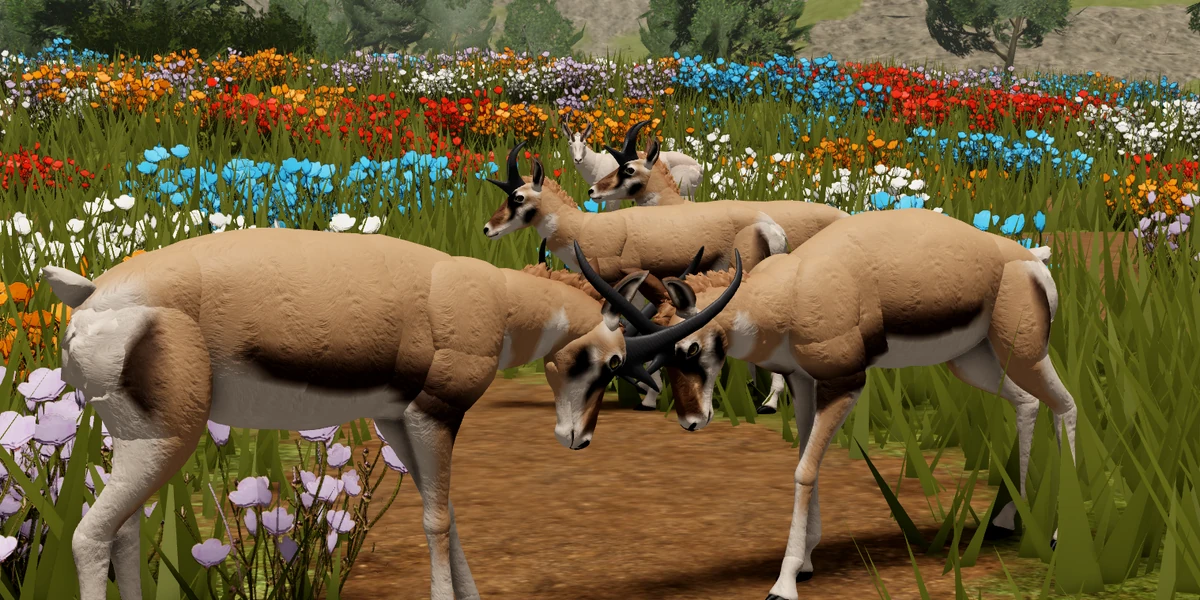 Tetrameryx | Sonora Roblox Wiki | Fandom