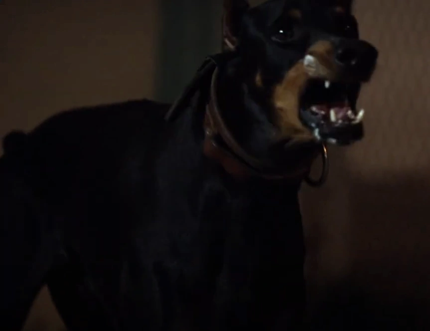 Hunde | Sons of Anarchy Wiki | Fandom