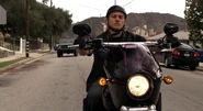 Seeds | Sons of Anarchy | Fandom