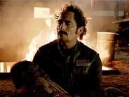 Dawn Trager | Wiki Sons Of Anarchy | Fandom