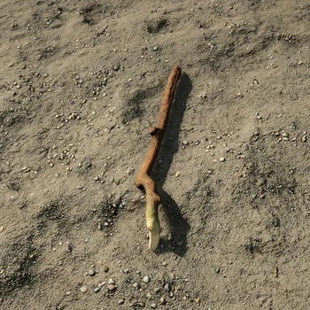 Stick - Sons of the Forest Wiki