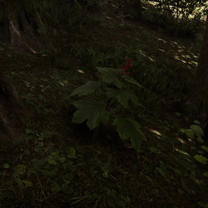 Devil's club - Sons of the Forest Wiki