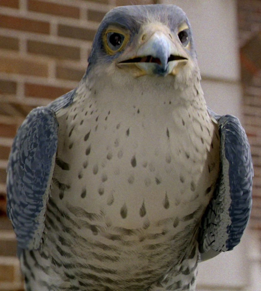 Falcon | Sony Pictures Entertaiment Wiki | Fandom