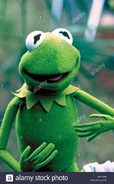 Kermit the Frog | Sony Pictures Entertaiment Wiki | Fandom