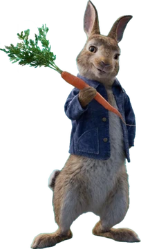 how to draw peter rabbit from the movie