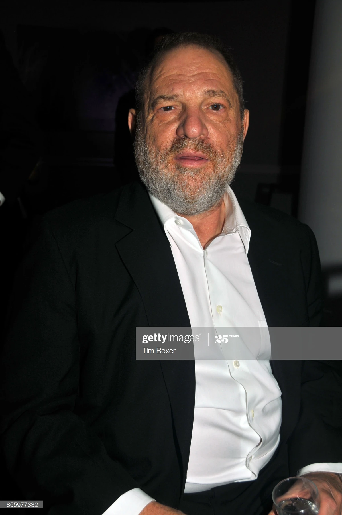 Harvey Weinstein | Sony Pictures Entertaiment Wiki | Fandom