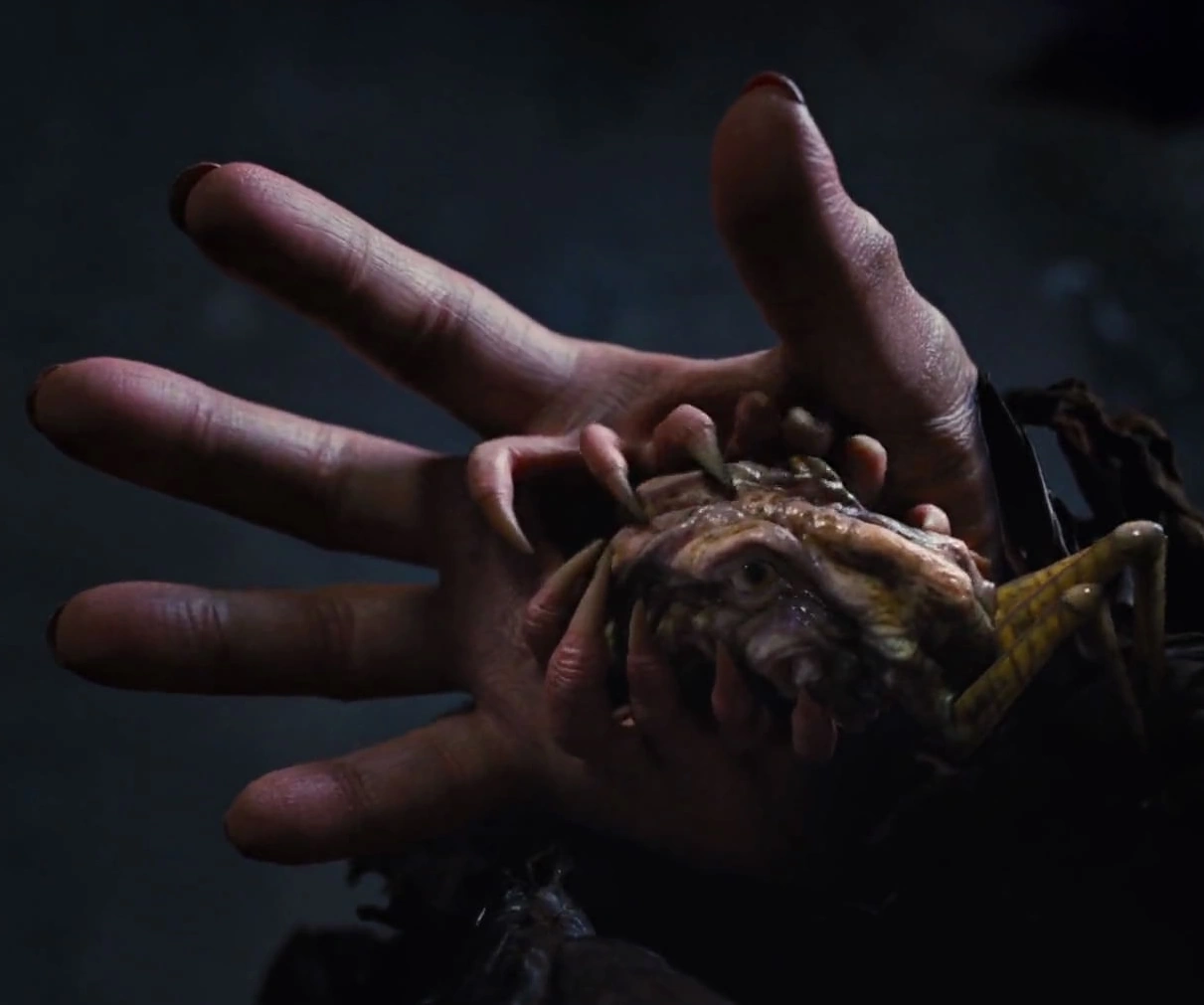 Boris The Animal Hand