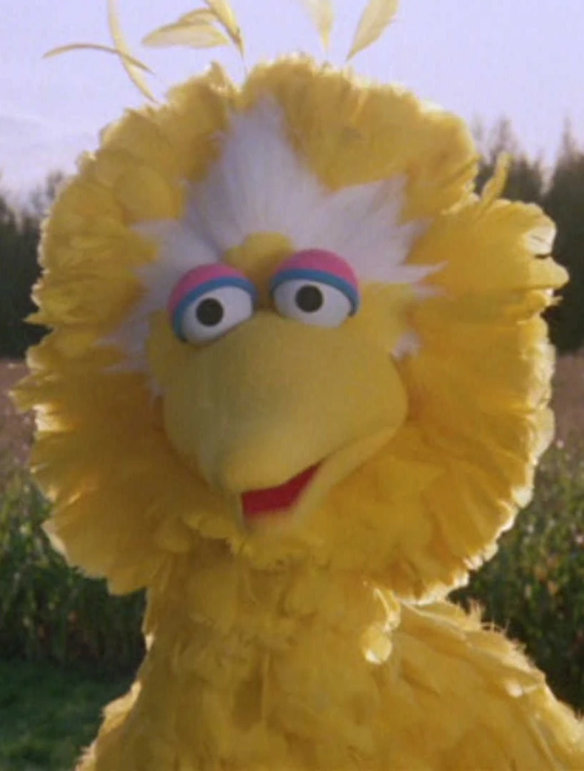 Big Bird | Sony Pictures Entertaiment Wiki | Fandom