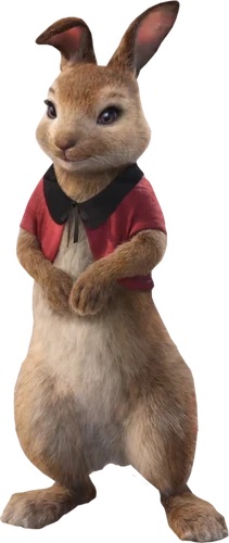 Flopsy Rabbit | Sony Pictures Entertaiment Wiki | Fandom