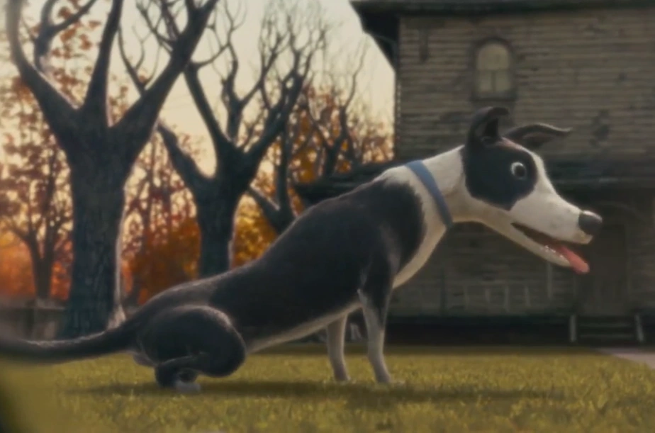 Kevin the Dog | Sony Pictures Entertaiment Wiki | Fandom