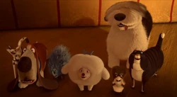Open Season 2 Fifi