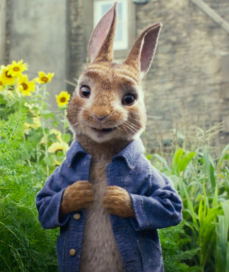 Peter Rabbit | Sony Pictures Animation Wiki | Fandom
