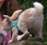 Cottontail/Gallery | Sony Pictures Animation Wiki | Fandom