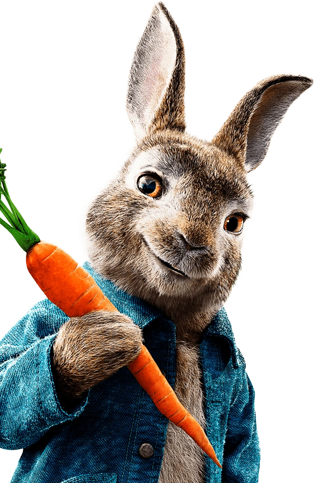Peter Rabbit/Gallery | Sony Pictures Animation Wiki | Fandom