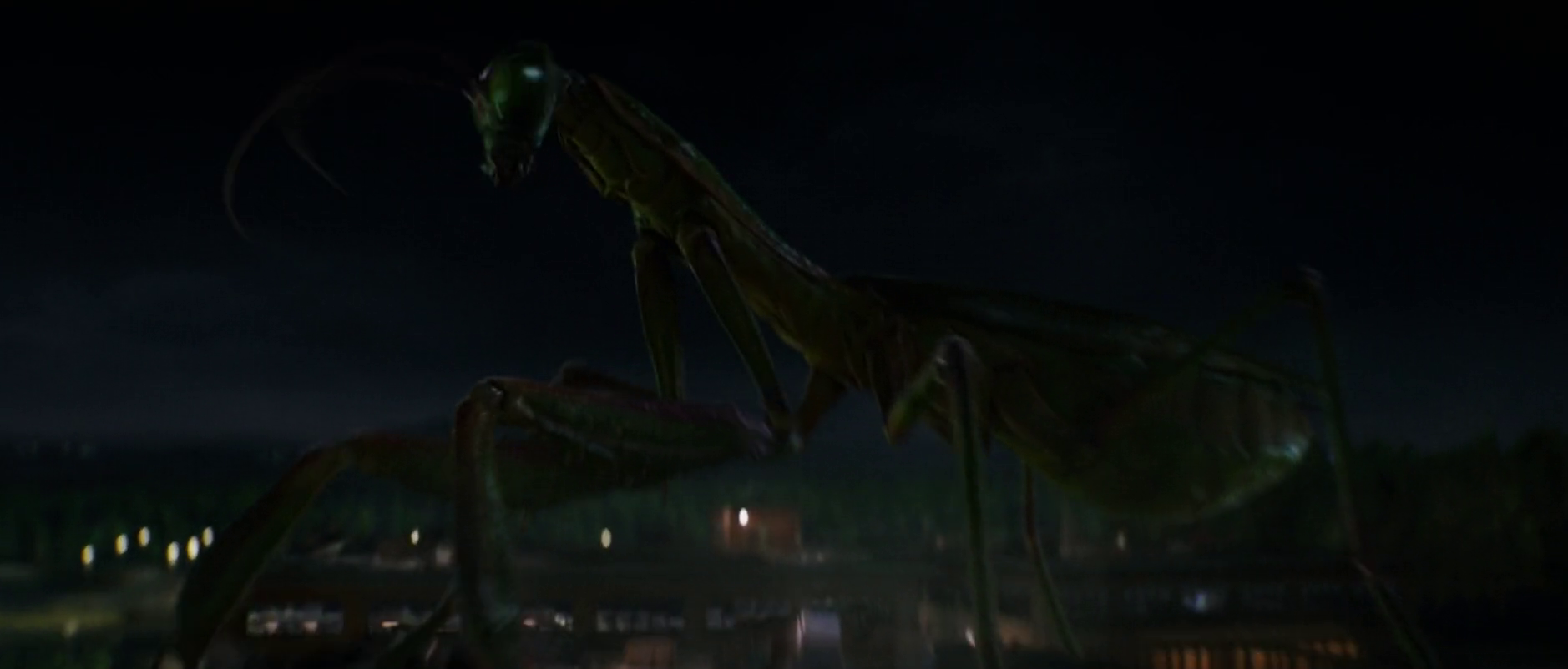 Giant Praying Mantis Movie