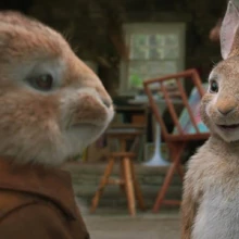 Peter Rabbit/Gallery | Sony Pictures Animation Wiki | Fandom