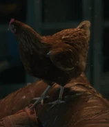 Chickens | Sony's Spider-Man Universe Wiki | Fandom