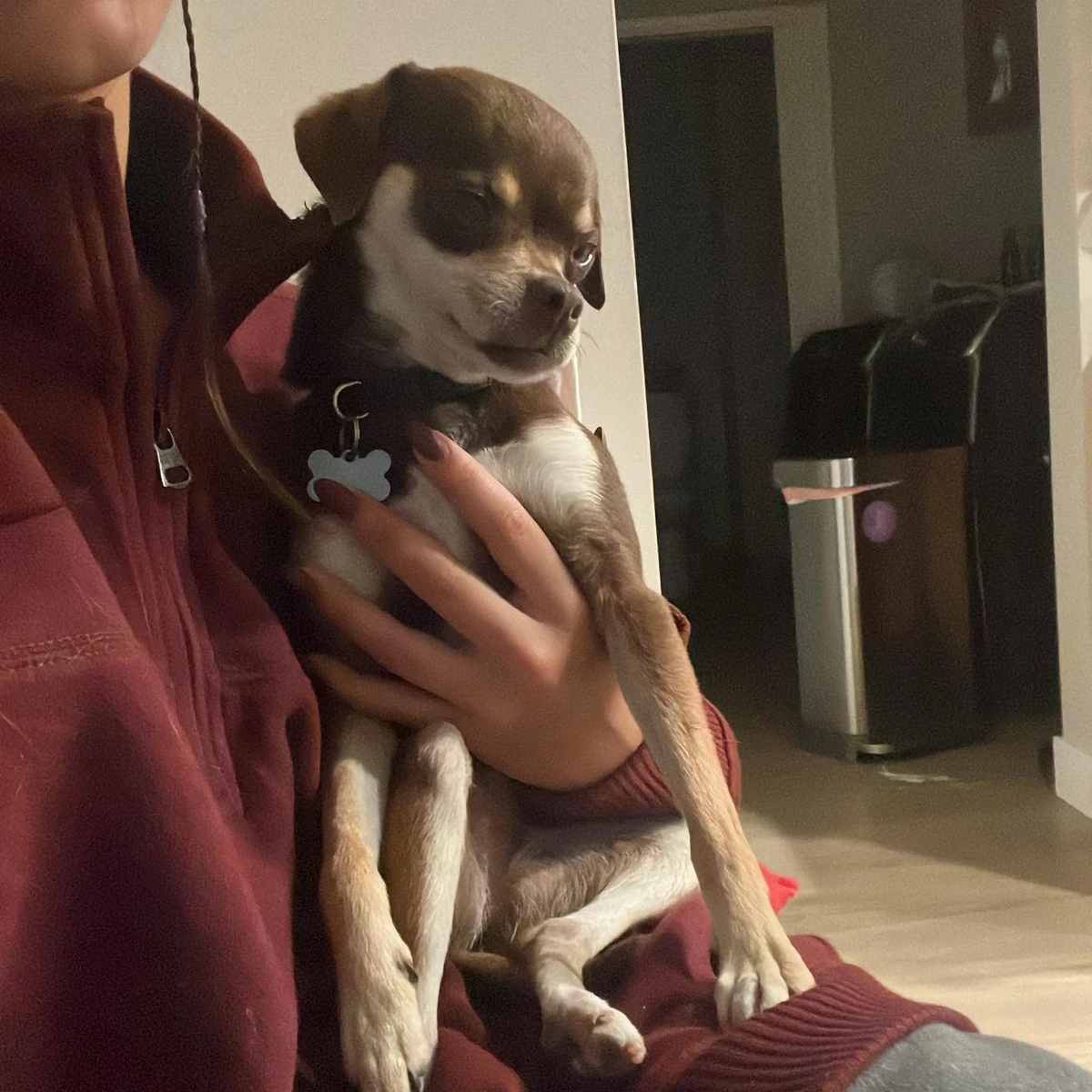 Bon Bon | Sony's Spider-Man Universe Wiki | Fandom