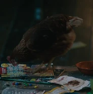 Chickens | Sony's Spider-Man Universe Wiki | Fandom