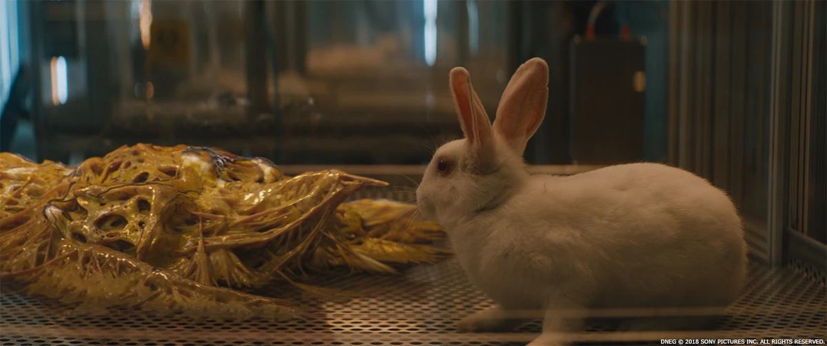 Rabbit | Sony's Spider-Man Universe Wiki | Fandom